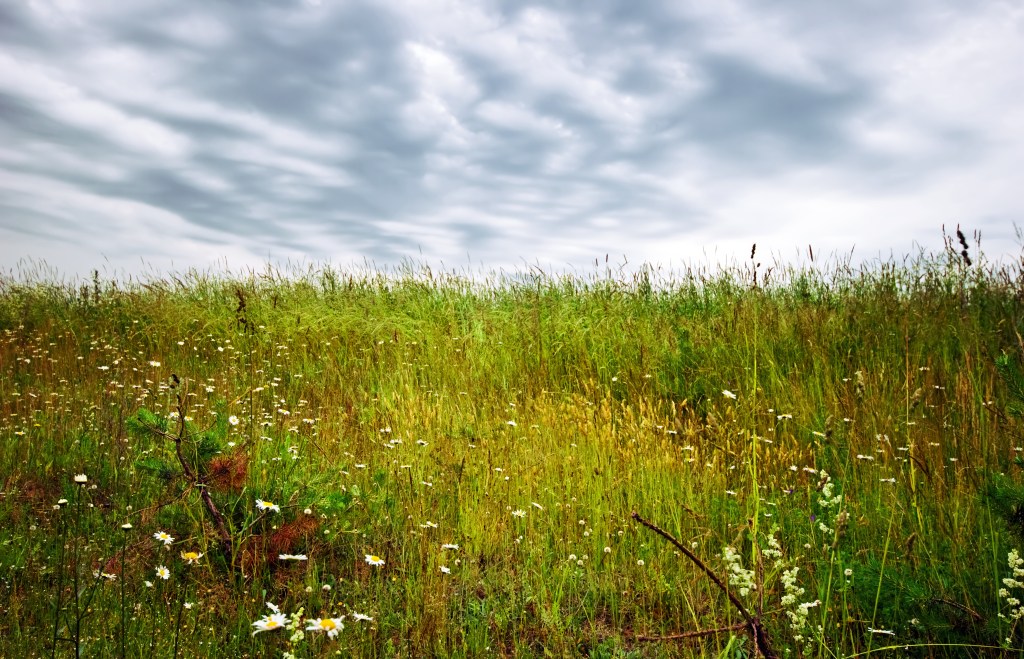 “I’ve said my piece” – a social worker on long-term sick leave, a lack ...