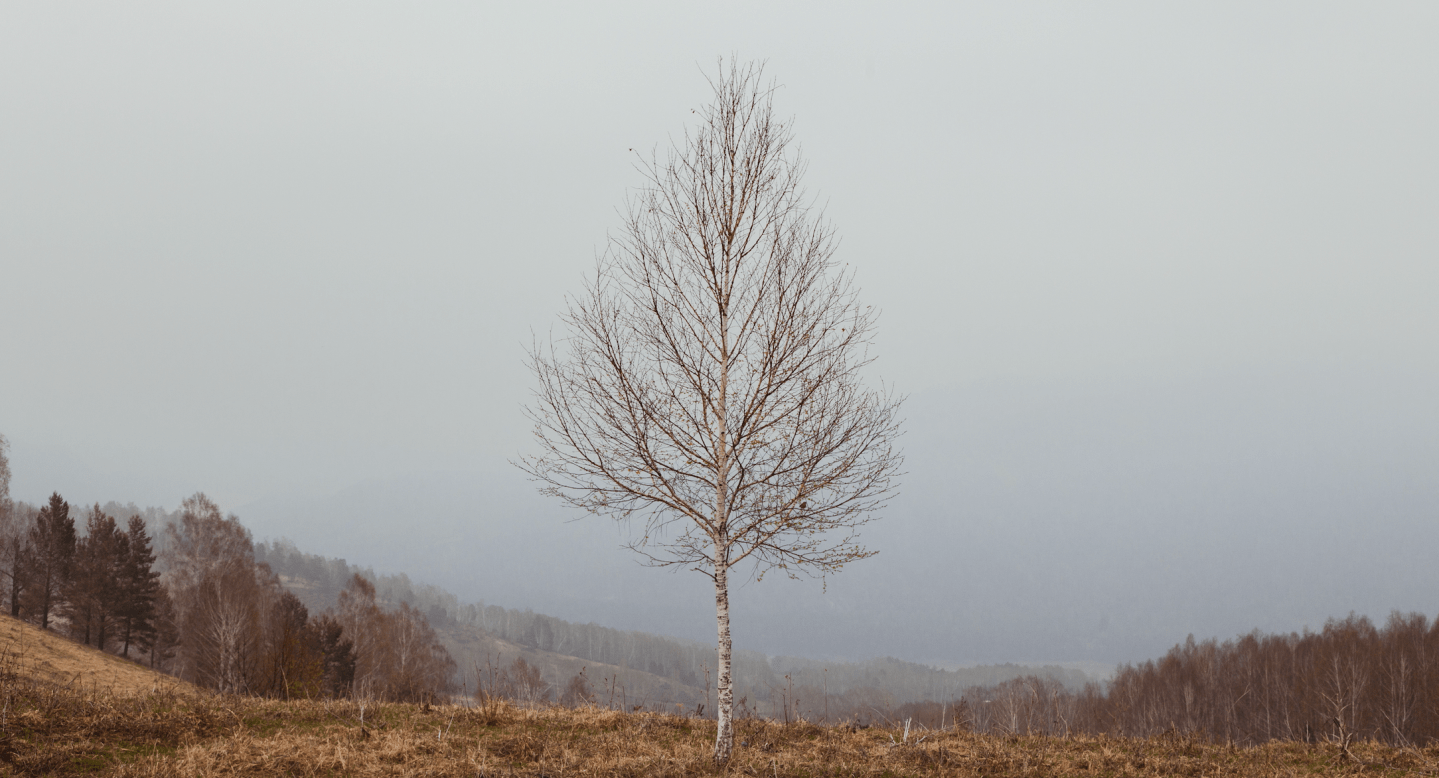 Contact Restrictions between P and their Family in the Court of ...